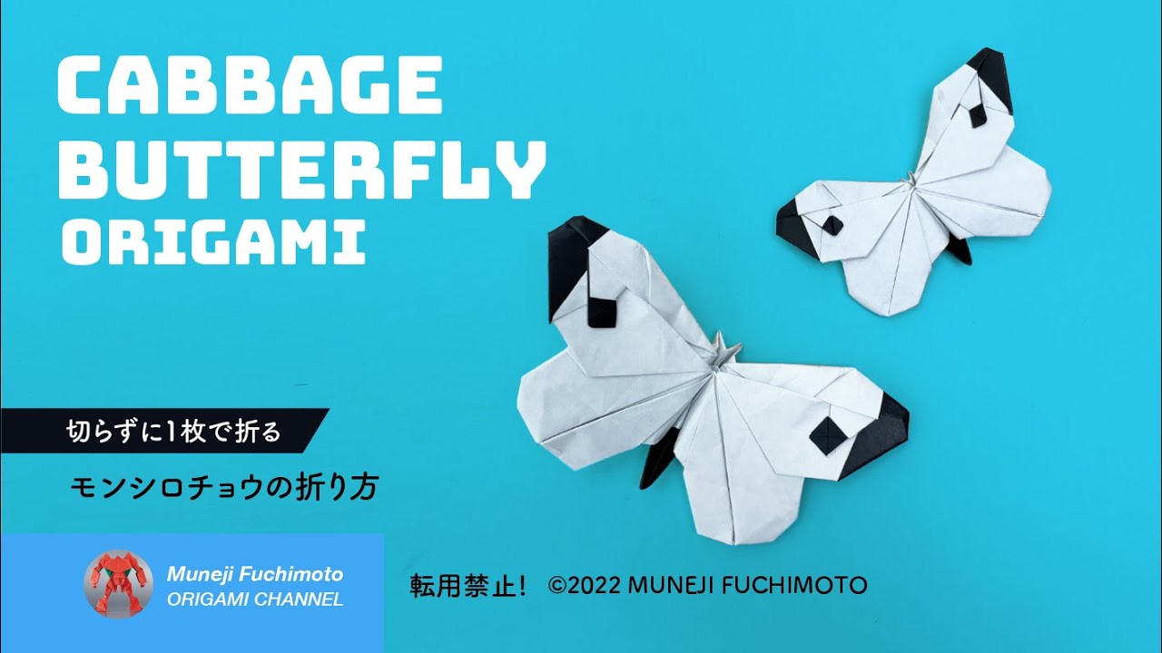 春「昆虫折り紙」モンシロチョウ（cabbage butterfly）の折り方・作り方動画 | shigeyuki.net